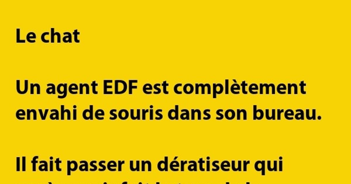Le chat... - Blagues et les meilleures images drôles!