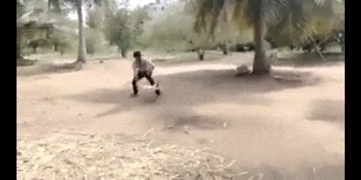 Combat de coqs - Blagues et les meilleures images drôles!