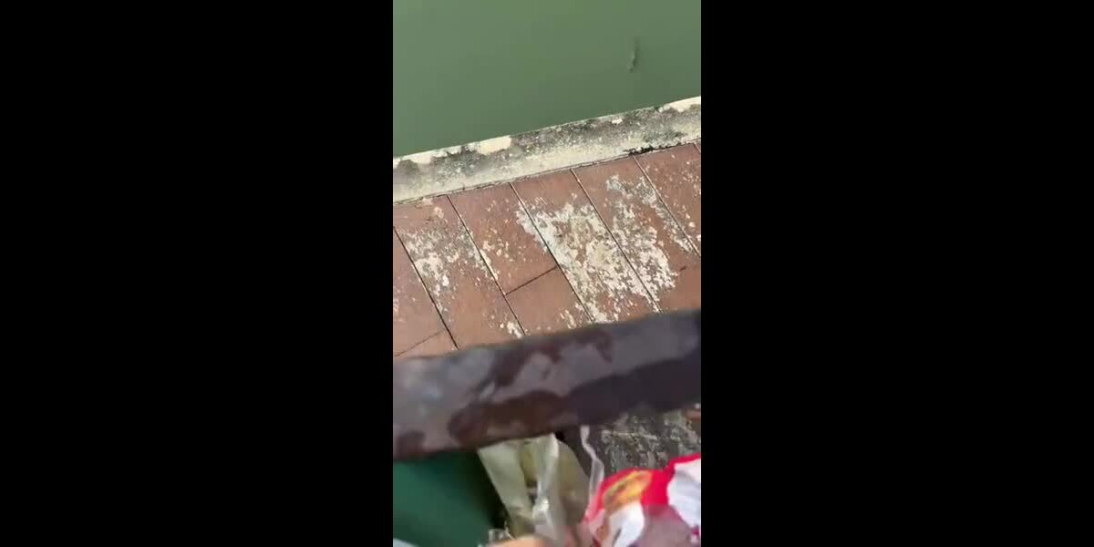 Si même les poissons ne t'aiment pas. - Blagues et les meilleures ...