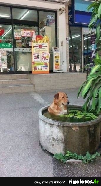 jacuzzi relaxation - Blagues et les meilleures images drôles!