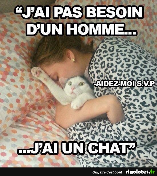 J ai Pas Besoin Blagues Et Les Meilleures Images Dr les J ai Pas Besoin Blagues Et Les Meilleures Images Dr les