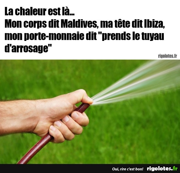 La Chaleur Est L Blagues Et Les Meilleures Images Dr les 
