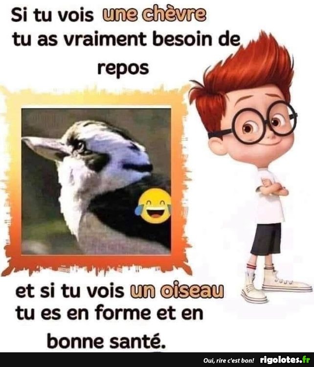 Si Tu Vois Une Blagues Et Les Meilleures Images Dr les Si Tu Vois Une Blagues Et Les Meilleures Images Dr les
